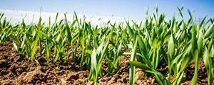 Environment Index | EBSCO