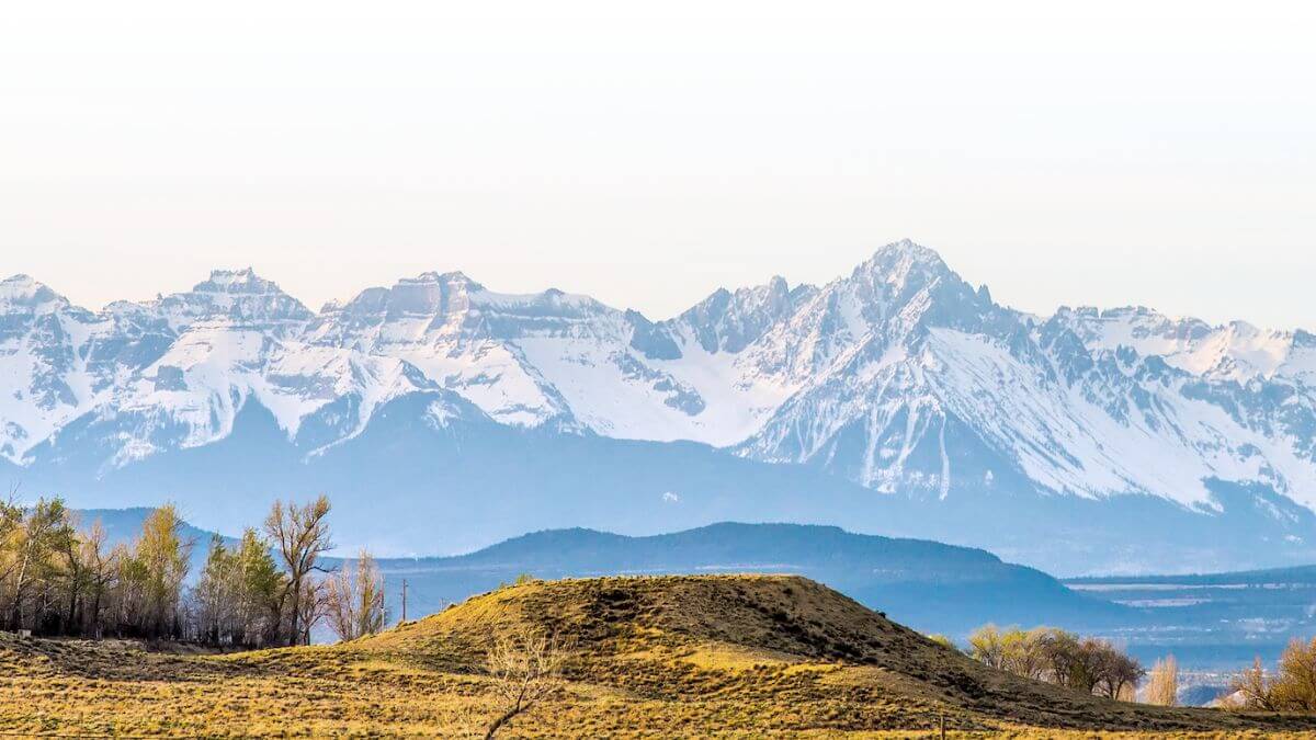 Support Your Academic Library With Panorama Analytics Ebsco